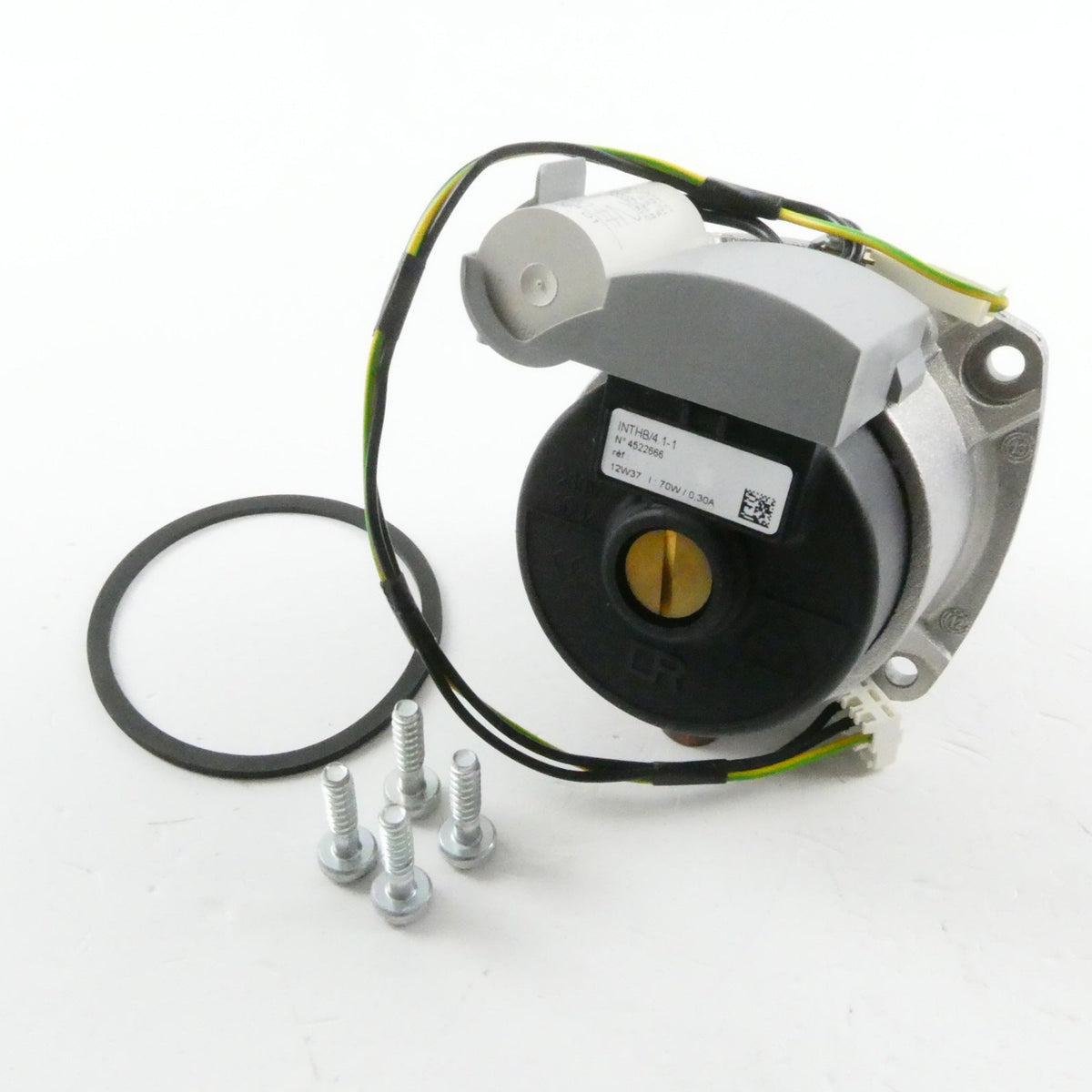REMEHA S101747 CR INTHB/4.1-1 (70W 0.30A) PUMP – SZ Handel